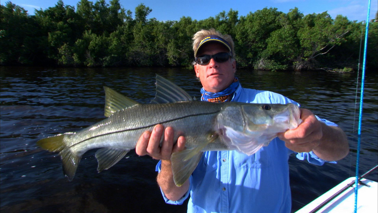 Addictive Fishing | RK Guide