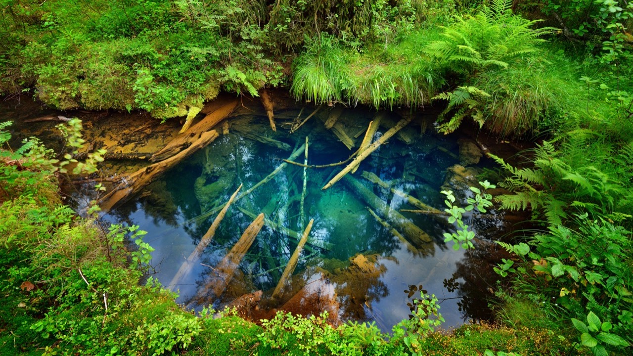 Nature Scape | RK Guide