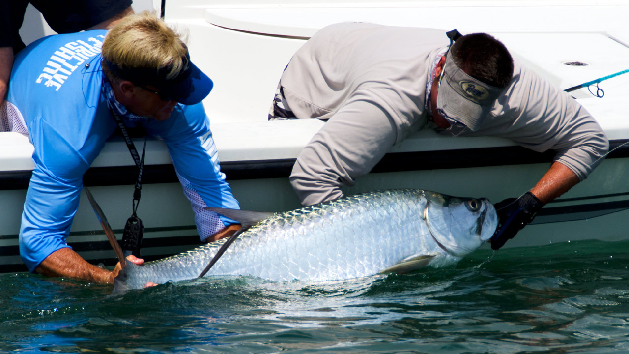 Addictive Fishing | RK Guide