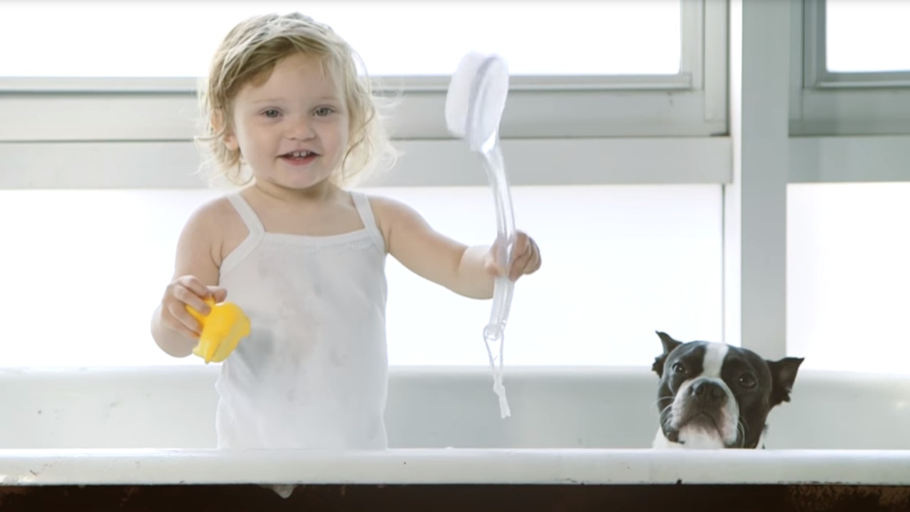 Charlie TV | TV App | Roku Channel Store | Roku