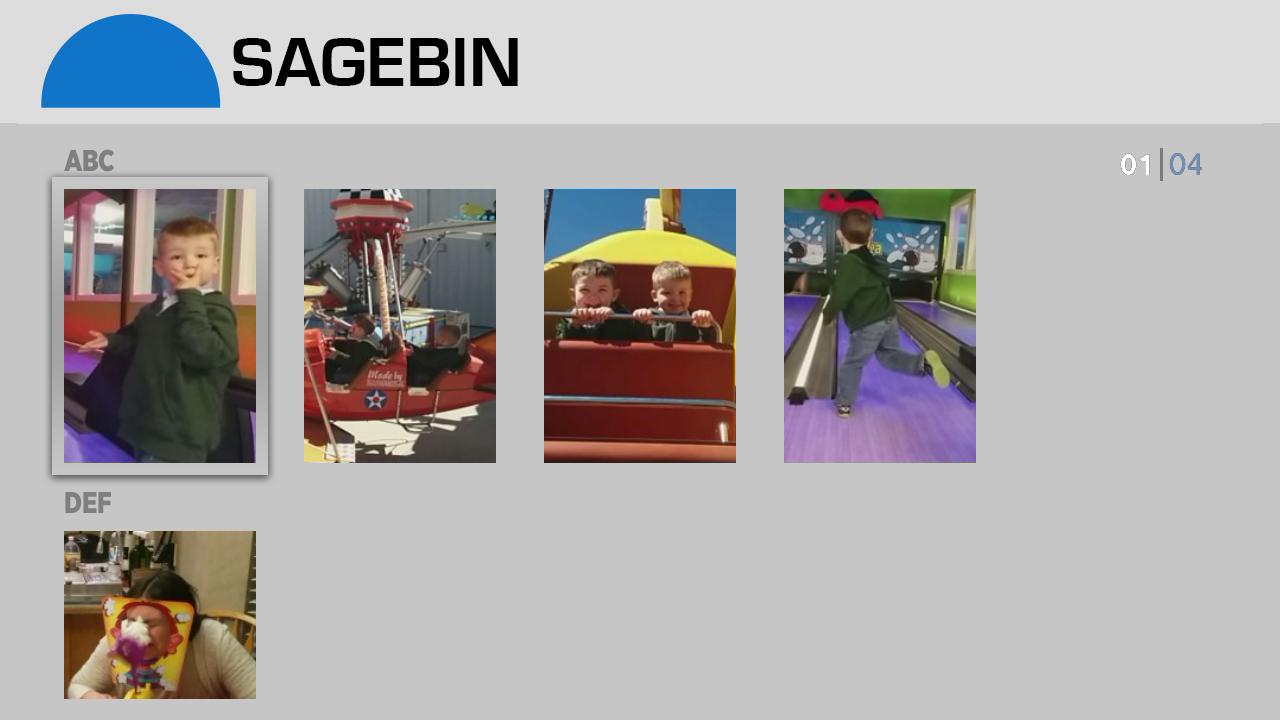 Sagebin.com | TV App | Roku Channel Store | Roku