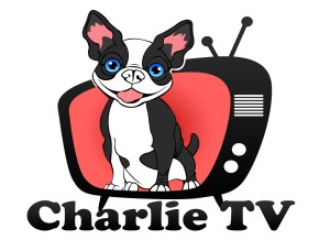 Charlie TV | TV App | Roku Channel Store | Roku