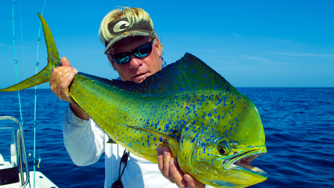 Addictive Fishing | RK Guide