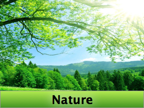 SCREENZAVER.Nature | TV App | Roku Channel Store | Roku